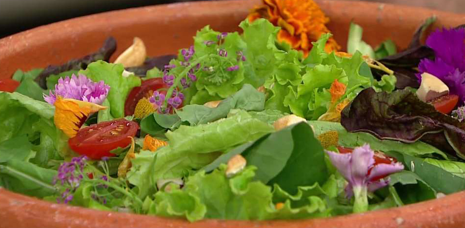 Os benefícios e o ‘tremor’ do JAMBU - TV Gazeta - Você por perto. Tudo ...