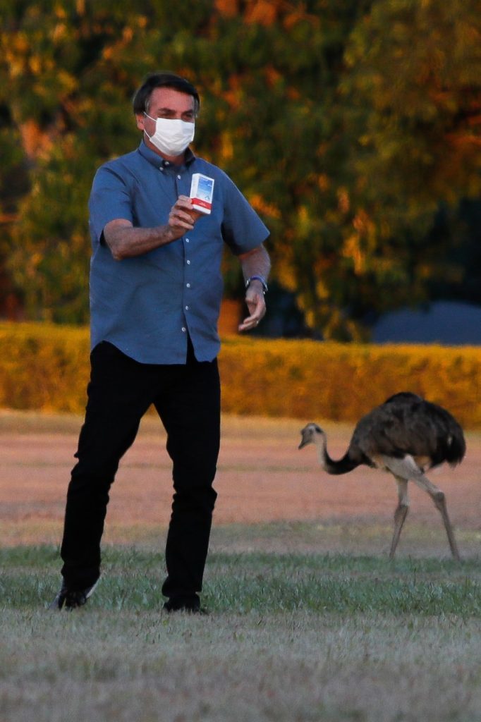 Presidente Jair Bolsonaro exibe caixa de cloroquina a ema no Palácio da ...