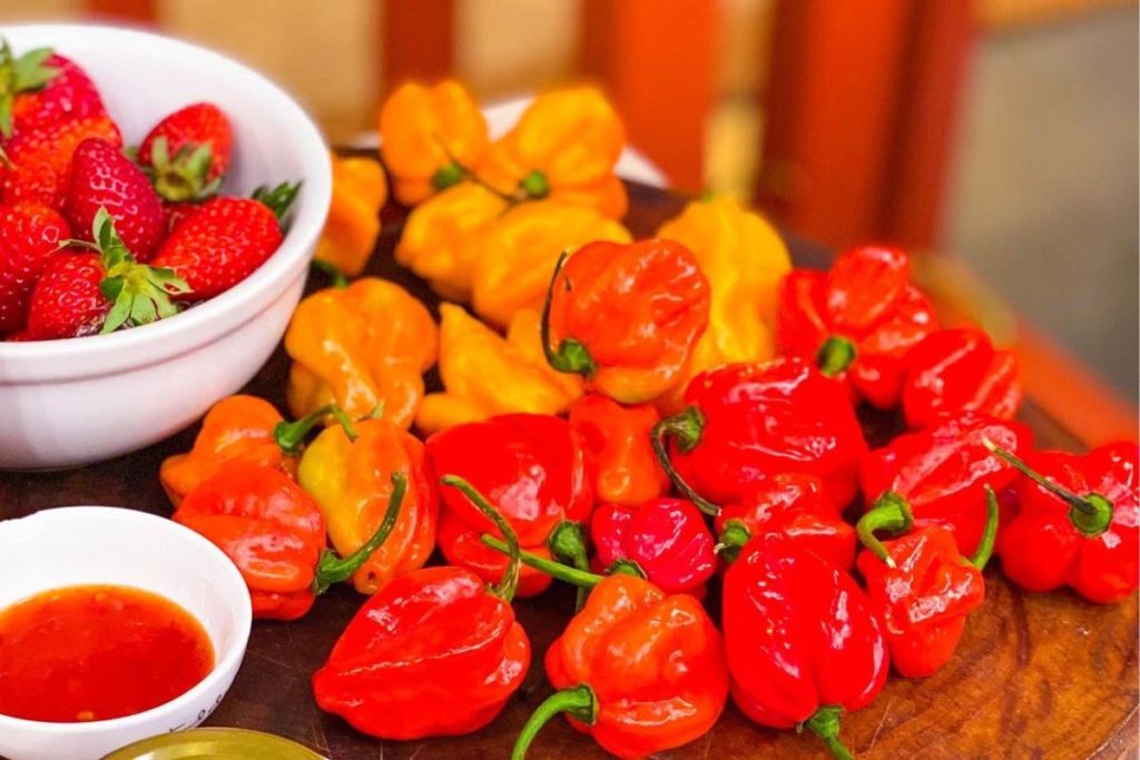 Conheça vários tipos de pimentas - TV Gazeta - Você por perto. Tudo certo!