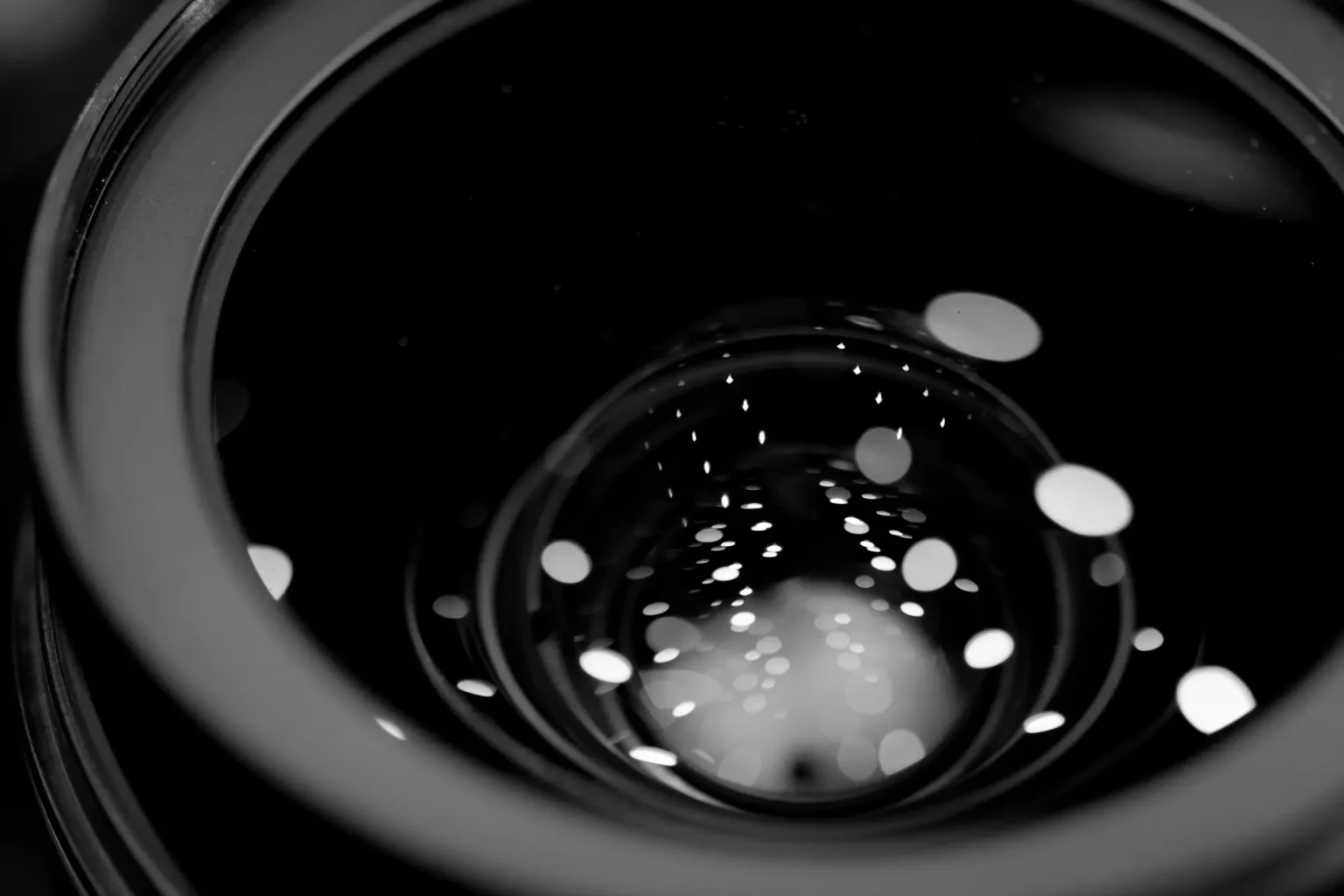 Documentário: conheça o projeto “Ariri” | Janeiro de 2024 - TV Gazeta ...