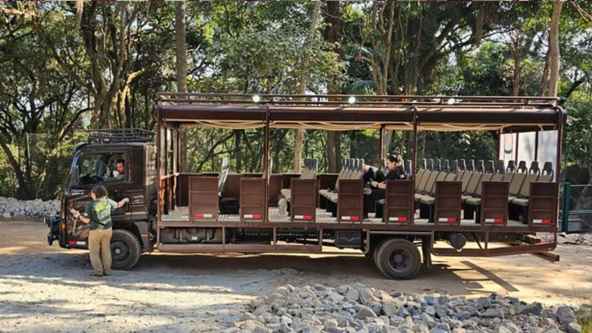Depois de duas décadas, Simba Safari reabre em SP - TV Gazeta - Você ...